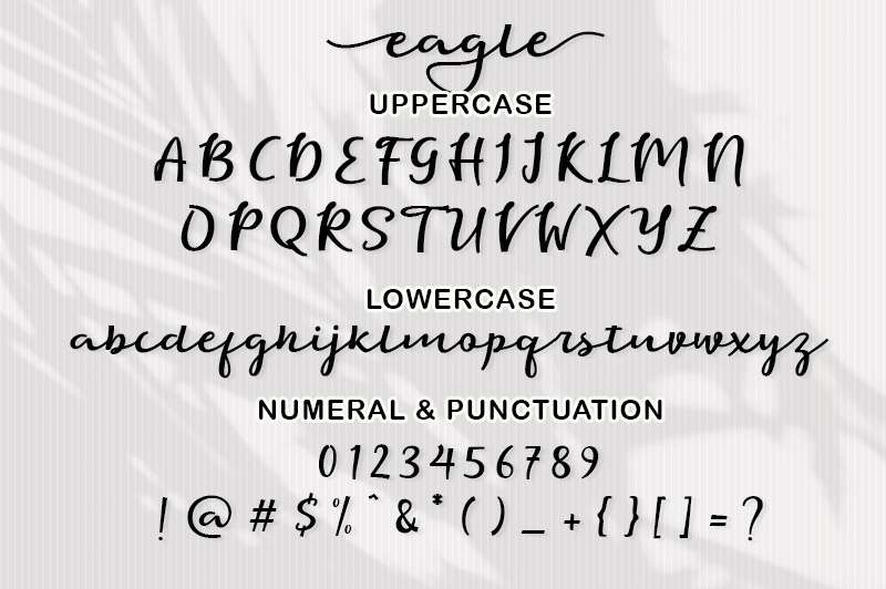 Eagle Script - Elegant Font, Fonts | GraphicRiver